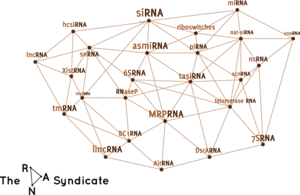 RNA History « RNA Biology