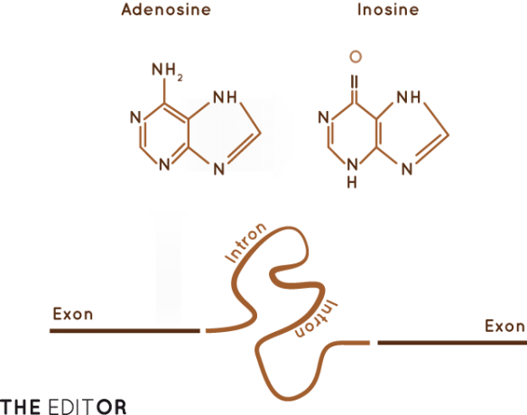 RNA History « RNA Biology